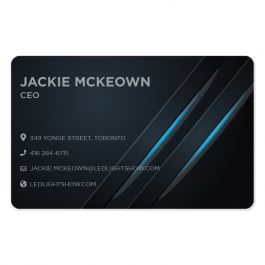 .020 Plastic Wallet Cards (2.125" x 3.375") 4CP & varnish | ArtechPro ...